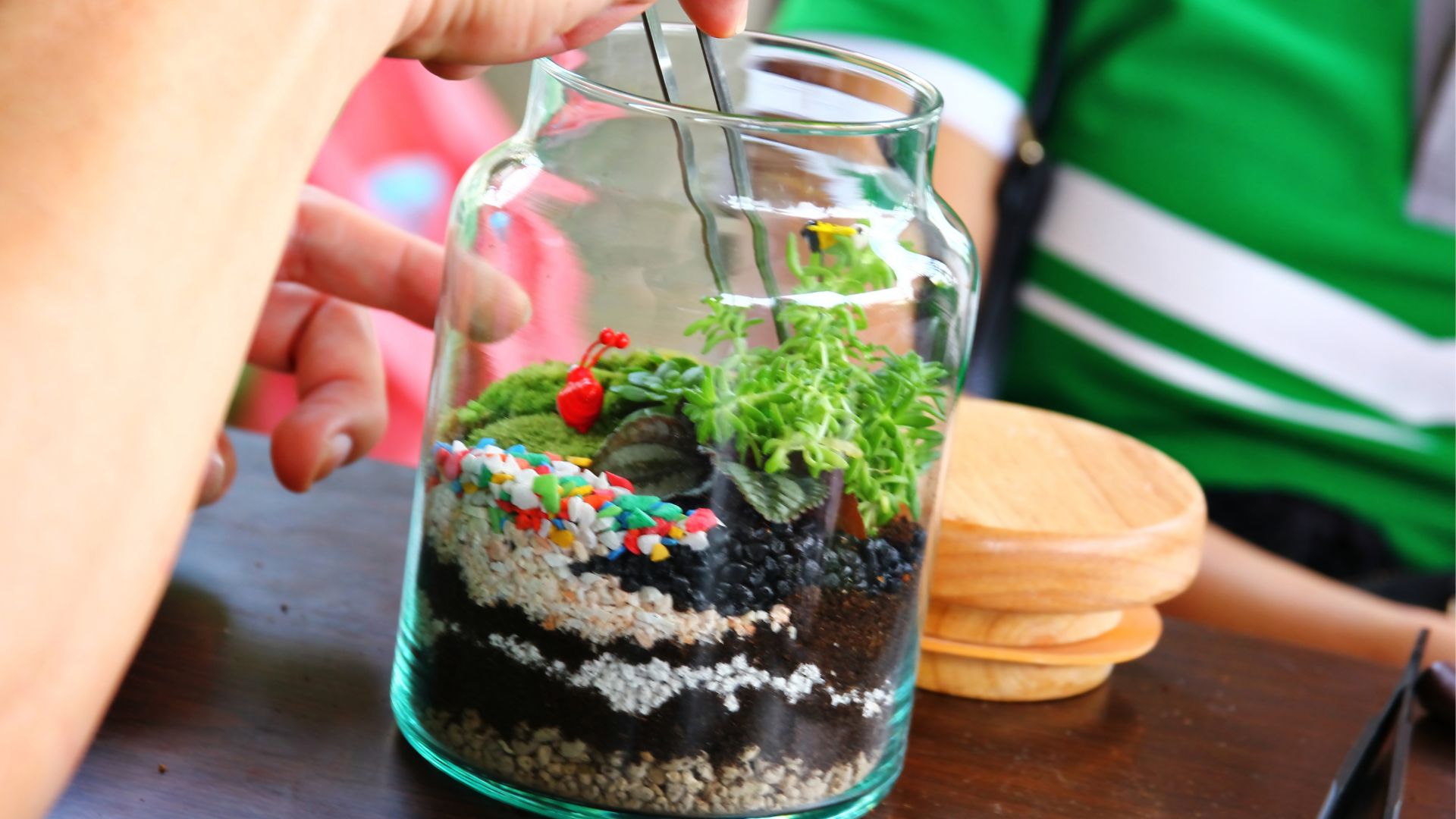 How to Build a Fun and Educational Terrarium with Your Kids – Sunny & Seed