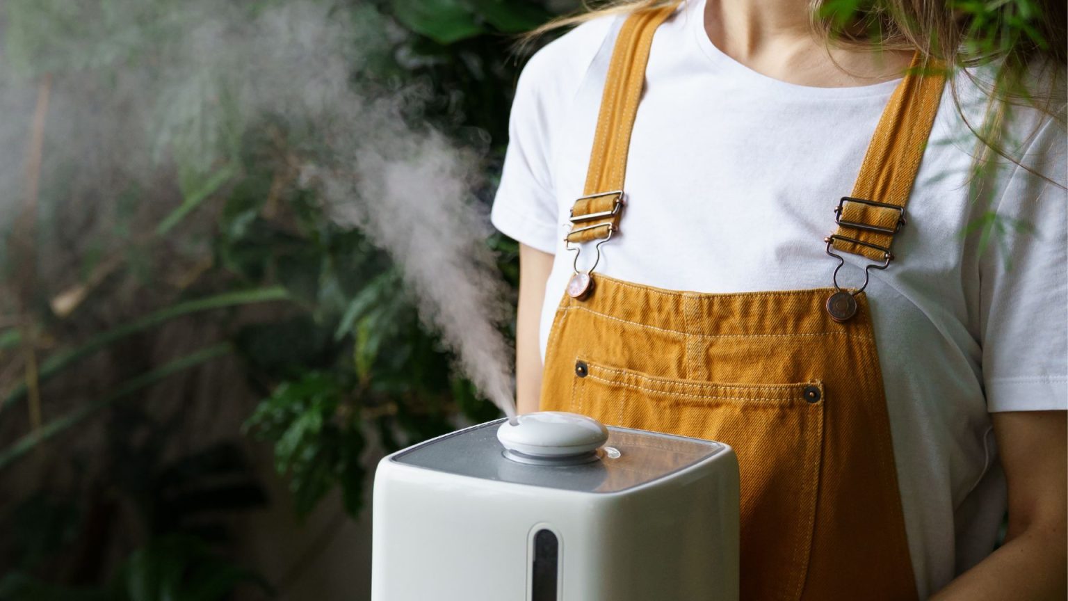 Fiddle Leaf Fig Care: Simple Steps for a Beautiful and Happy Plan ...